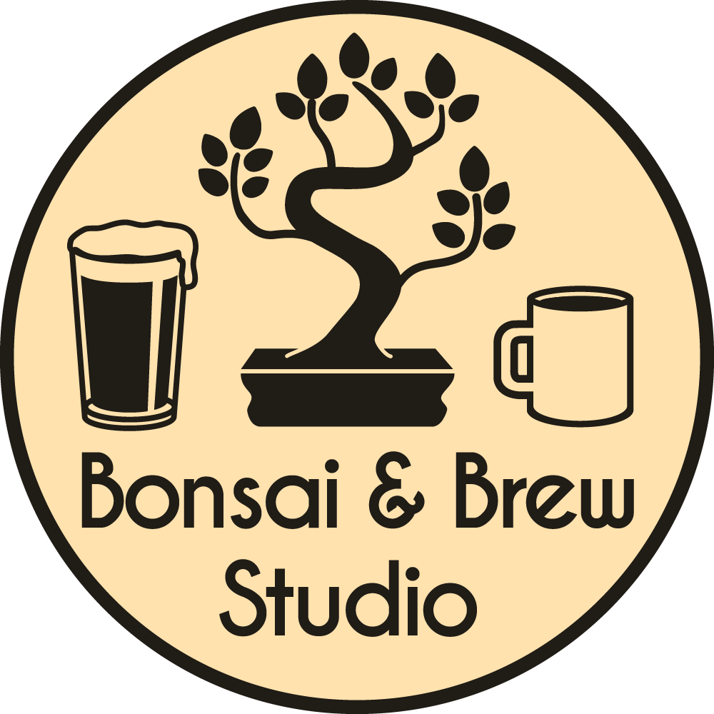 Bonsai 101 Beginner Workshop Bonsai Brew Studio Bonsai 101 Beginner Workshop Bonsai Brew Studio