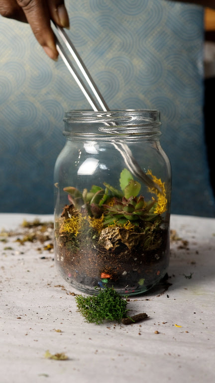 Bonsai & Brew Studio